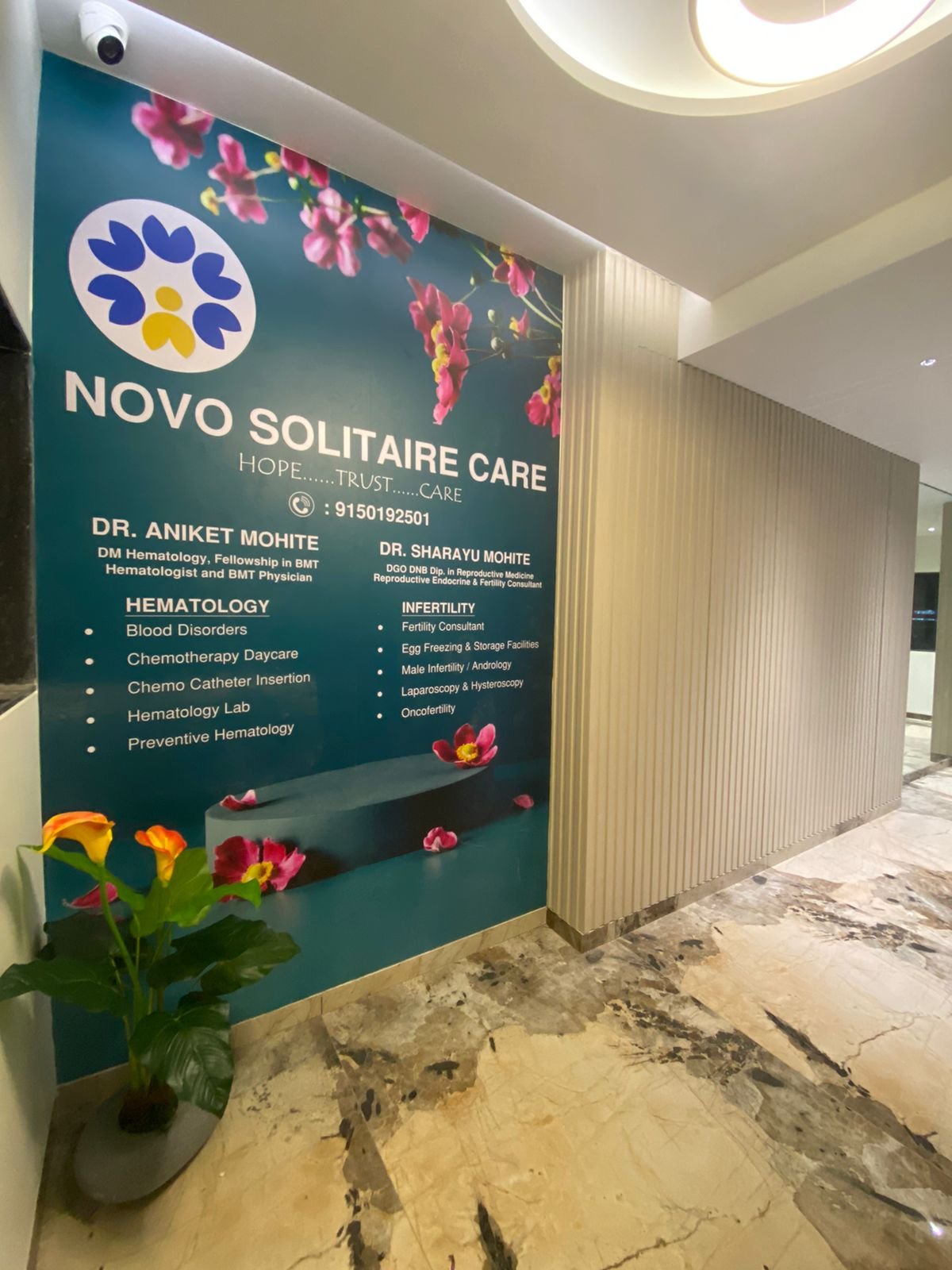 About Us – Novo Solitaire Care