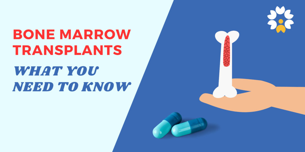 Advances in Bone Marrow Transplants: What You Need to Know - Novo ...
